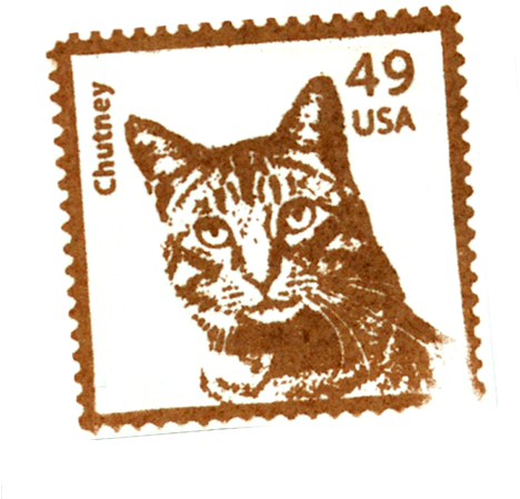 Download Or Choose A Ready-made Stamp - Cat - Full Size PNG Image - PNGkit