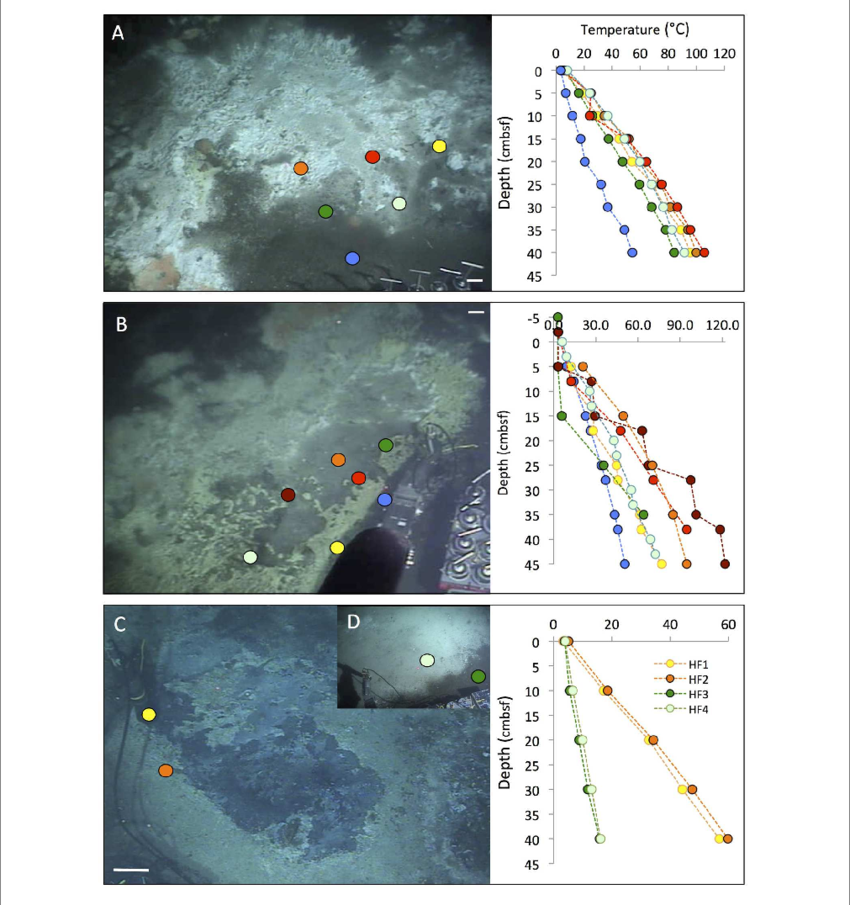 Download Temperature Profiles Measured With The Alvin Heat Flow ...