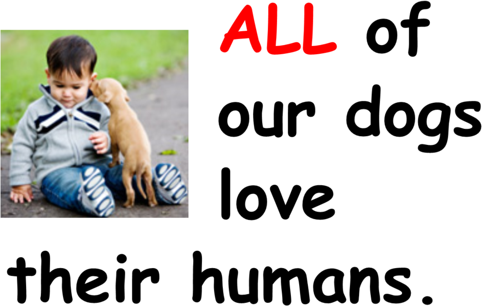 Download Love Humans - Full Size PNG Image - PNGkit