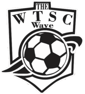 Download Warsaw Wave Logo - Full Size PNG Image - PNGkit