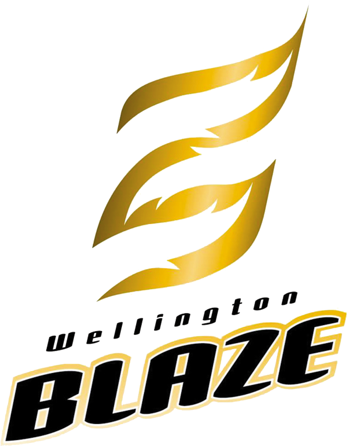 Download High Res Blaze Logo - Wellington - Full Size PNG Image - PNGkit