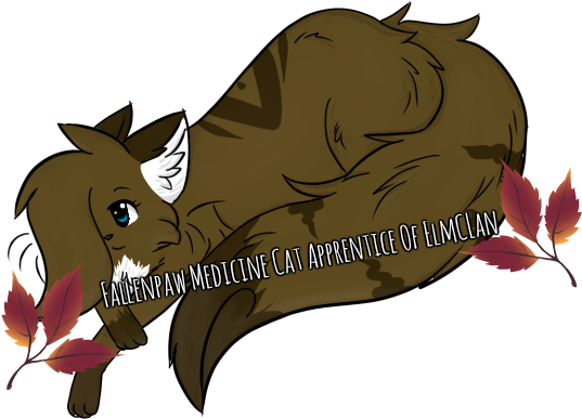 Download Leafpool First Tablet Drawing By Howling Okami-d4g5nkj ...