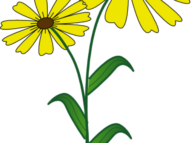 Download Daisy Clipart Flowering Plant - Clip Art - Full Size PNG Image ...