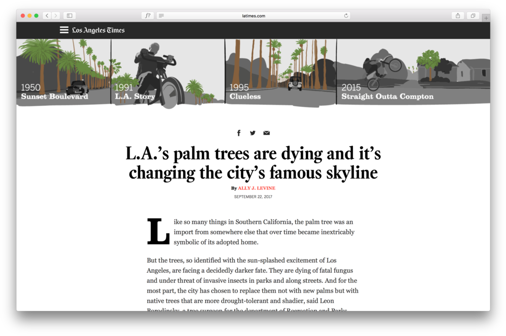 Download Palm Trees Topper - Los Angeles - Full Size PNG Image - PNGkit