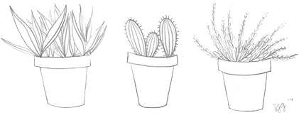 Download Plants, Cactus, And Drawing Image - House Plant Drawing ...