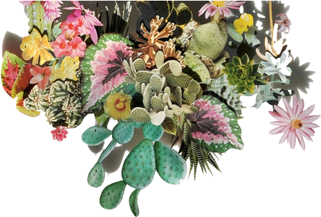 Download Added Transparency - Collage Art Plant Collage - Full Size PNG Image - PNGkit