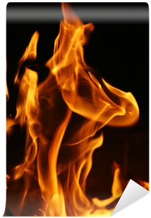 Download Pro Tools Ii Ignite!: The Visual Guide - Full Size PNG Image ...