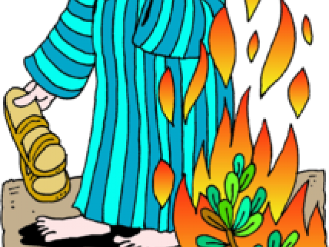 Download Related Posts - Burning Bush - Full Size PNG Image - PNGkit