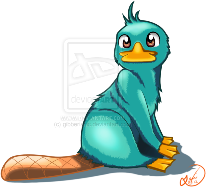Download Transparent Perry Art - - Phineas Flynn - PNGkit