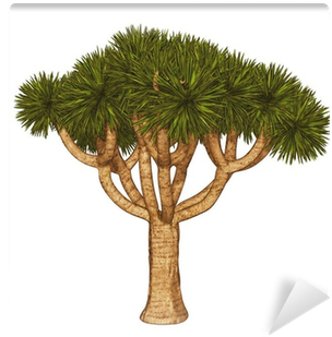 Download Joshua Tree , - Stock Illustration - Full Size PNG Image - PNGkit