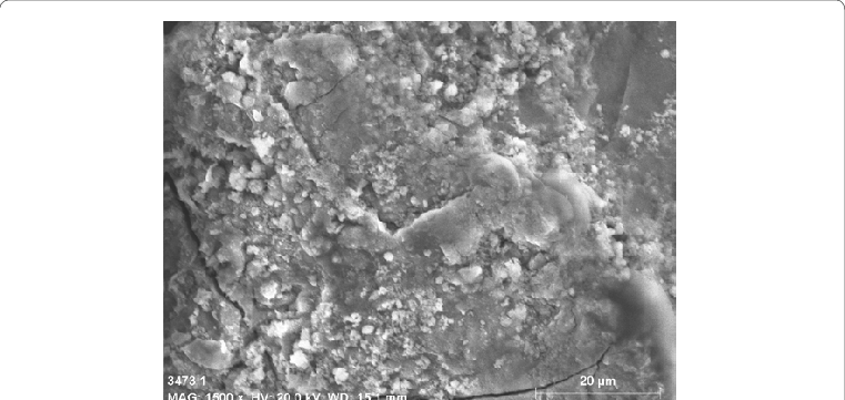 Download Sem Of Iron Rust At - Rust Sem - Full Size PNG Image - PNGkit