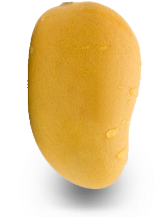 Download Single Mango Transparent Images - Ataulfo - Full Size PNG ...