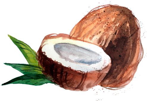 Download Koko Nut Coconut Extra Virgin Coconut Oil - Full Size PNG ...