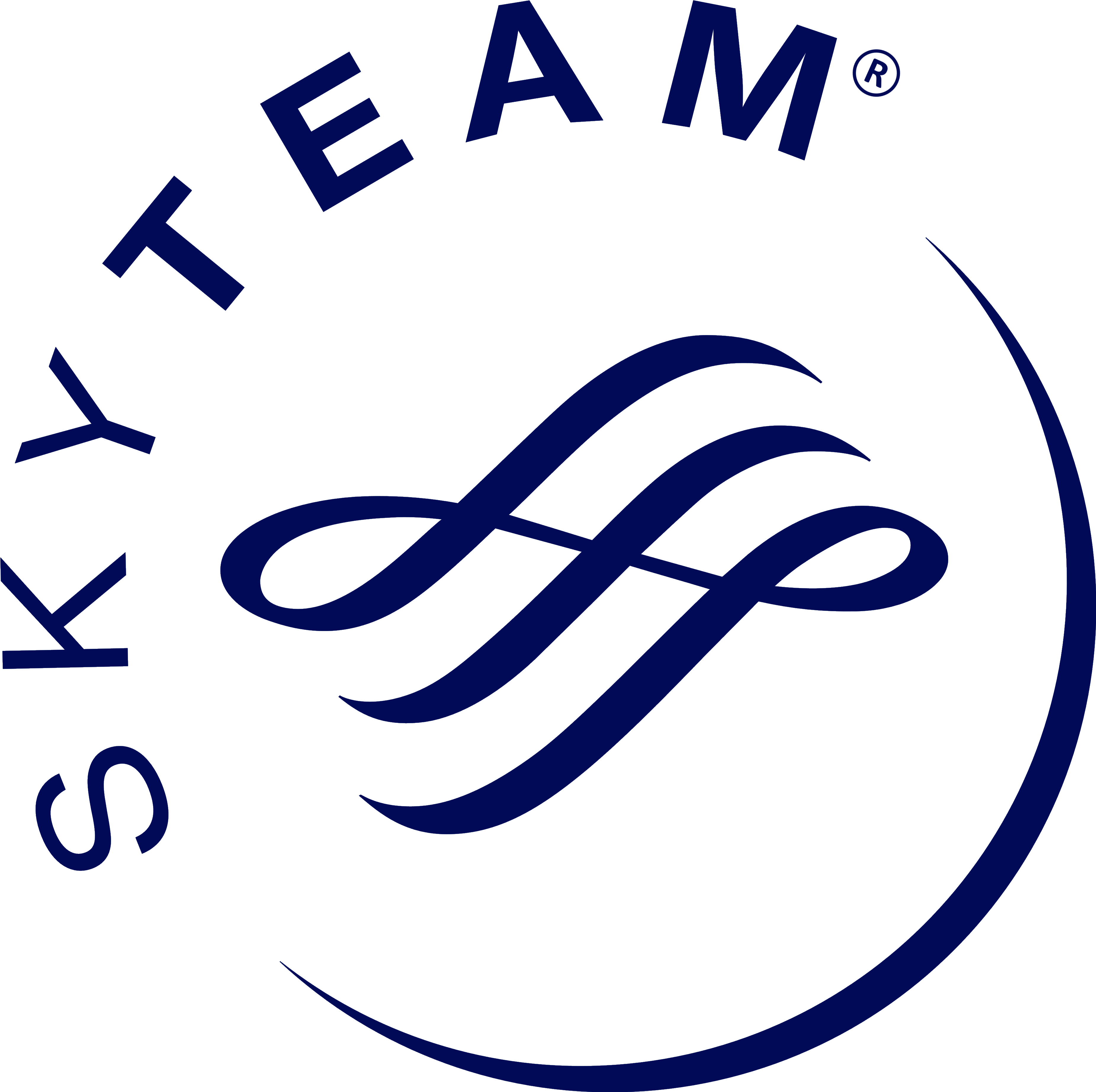 Download Skyteam Logo, Symbol - Sky Team - Full Size PNG Image - PNGkit