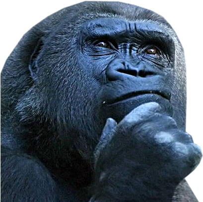 Download Macaco-pensando - Haddad É Meu Ovo - Full Size PNG Image - PNGkit