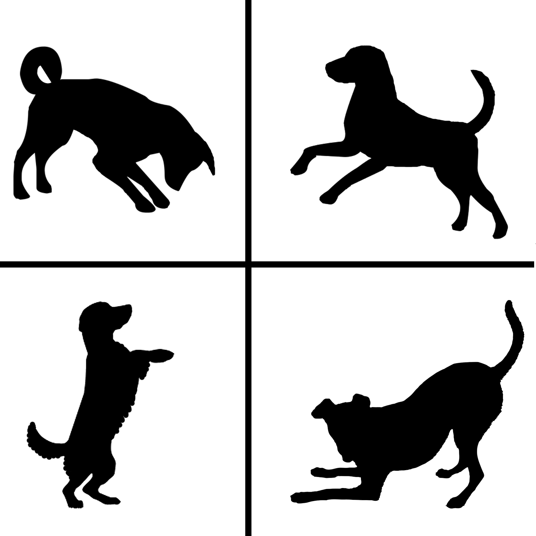 Download Frolic & Play Pet Sitting - Dog - Full Size PNG Image - PNGkit