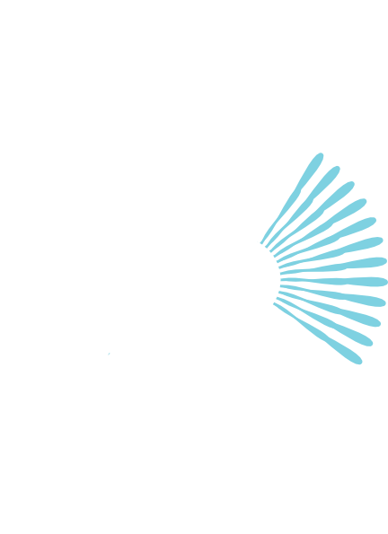 Download How To Set Use Burst Svg Vector - Full Size PNG Image - PNGkit