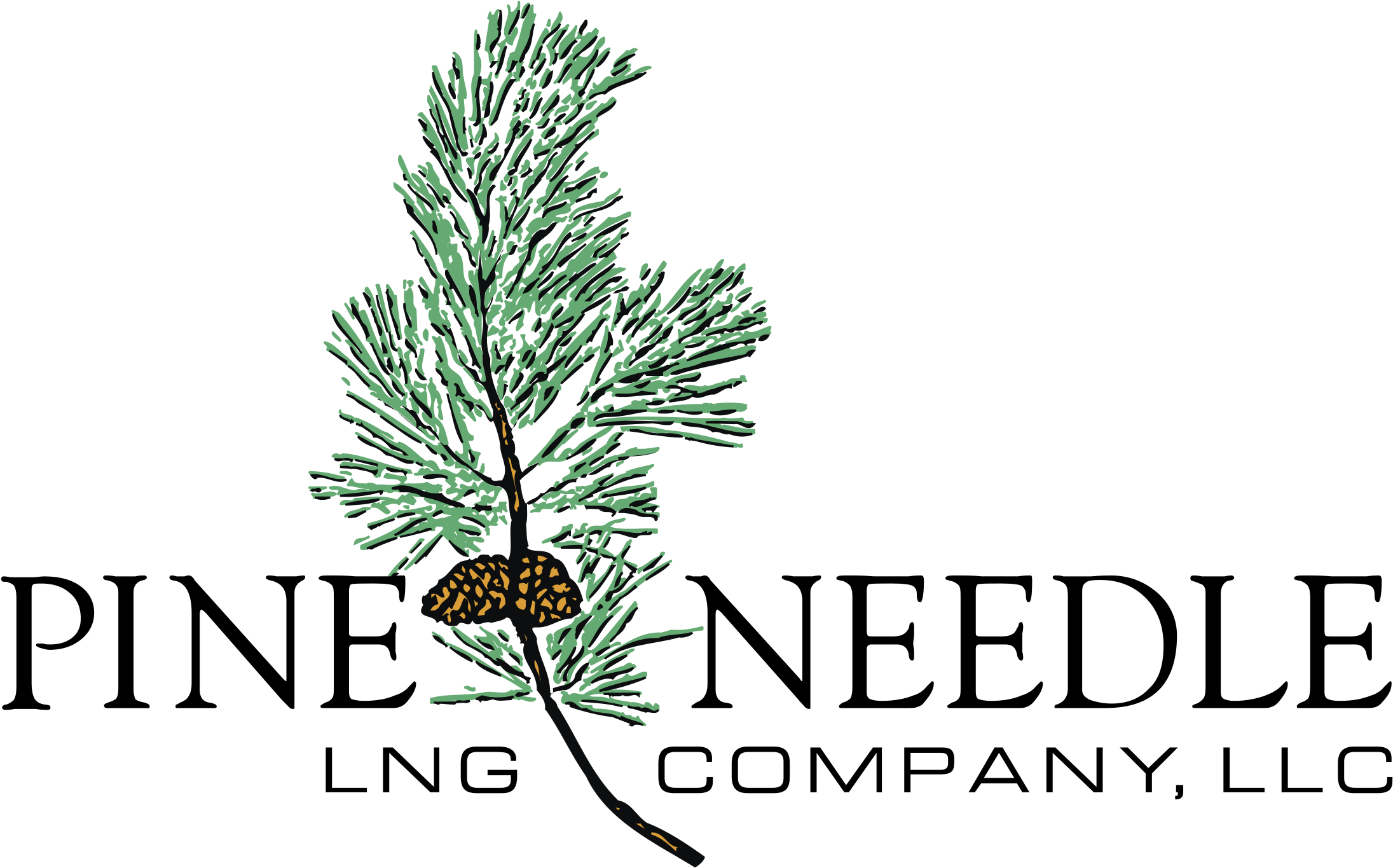 Download Pine Needle Logo Png Transparent - Pine Needles Long Vector ...