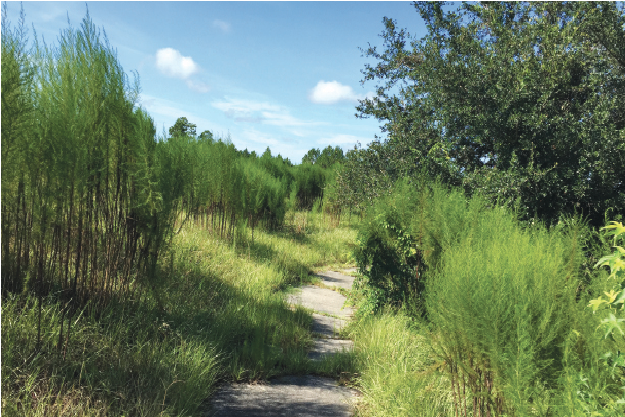 Download Matanzas Woods Golf Course Owners Agree To Maintain - Larch ...