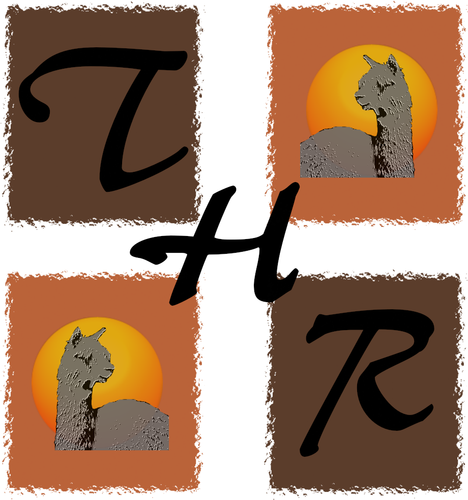 Download Triple H Ranch - Squirrel - Full Size PNG Image - PNGkit