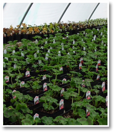 Download Pic2 - Website - Full Size PNG Image - PNGkit