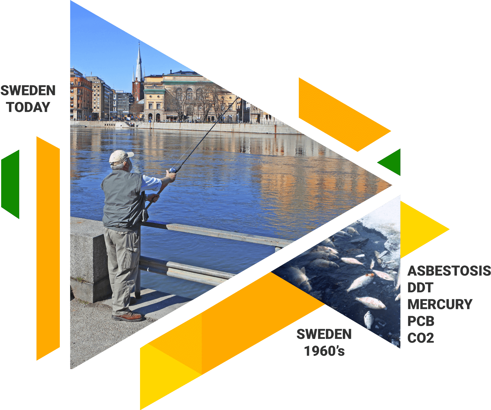 Download Dead Fish In The Oceans, Lakes And Rivers, Prompted - Cast A ...