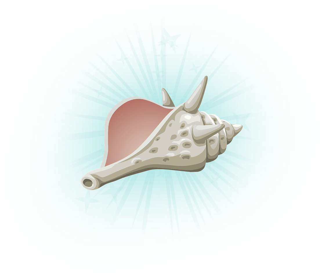 Download Seashell Conch Shell Dead Transparent Image - Misc Conch ...