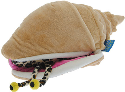 Download Conch Png Hd - Plush Conch - Full Size PNG Image - PNGkit