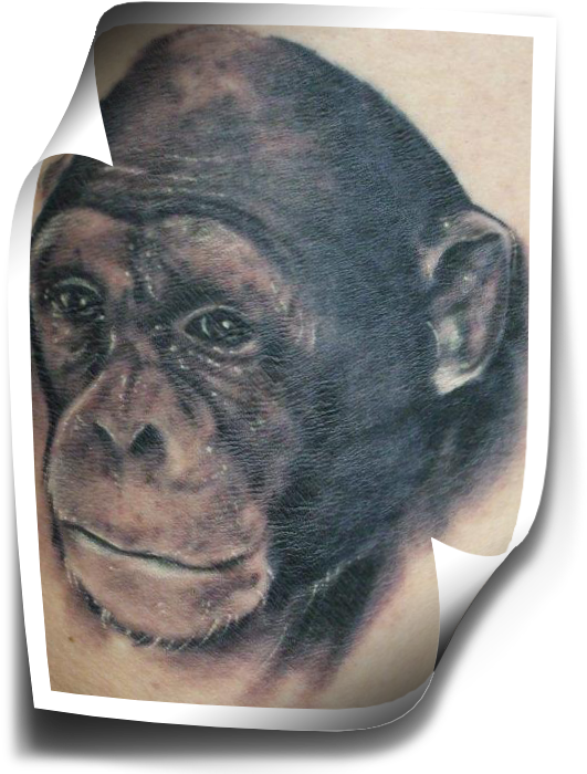 Download Realistic Monkey Face Tattoo Design - Tattoo - Full Size PNG ...