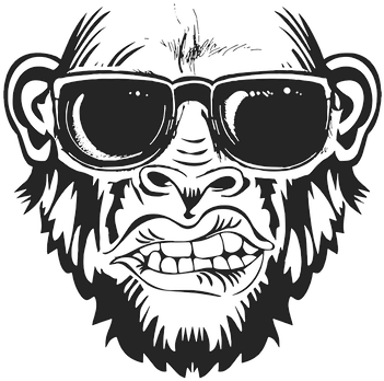 Download Monkey Face - Instagram - Full Size PNG Image - PNGkit