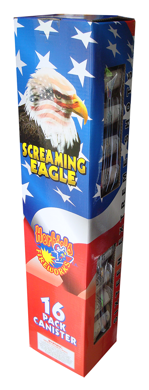 Download Bald Eagle - Full Size PNG Image - PNGkit