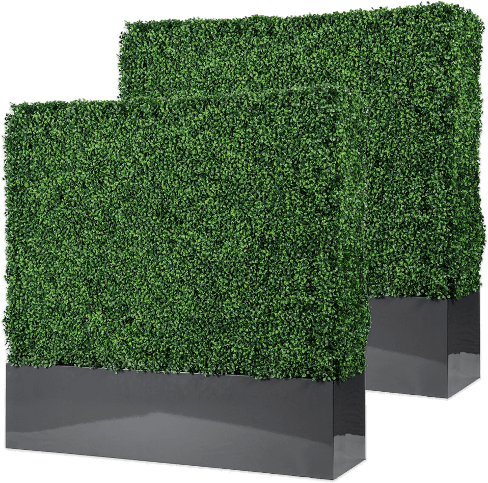 Download Baxter Contemporary Free Standing Boxwood Hedge With ...
