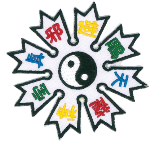 Download 1120 Yin Yang Star Patch - Yin Yang Star Patch - Full Size PNG ...