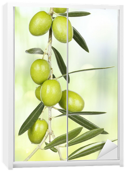 Download Olive - Full Size PNG Image - PNGkit