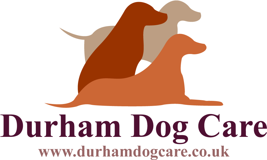 Download Durham Dog Training - Beyond The Blank Pages - Full Size PNG ...