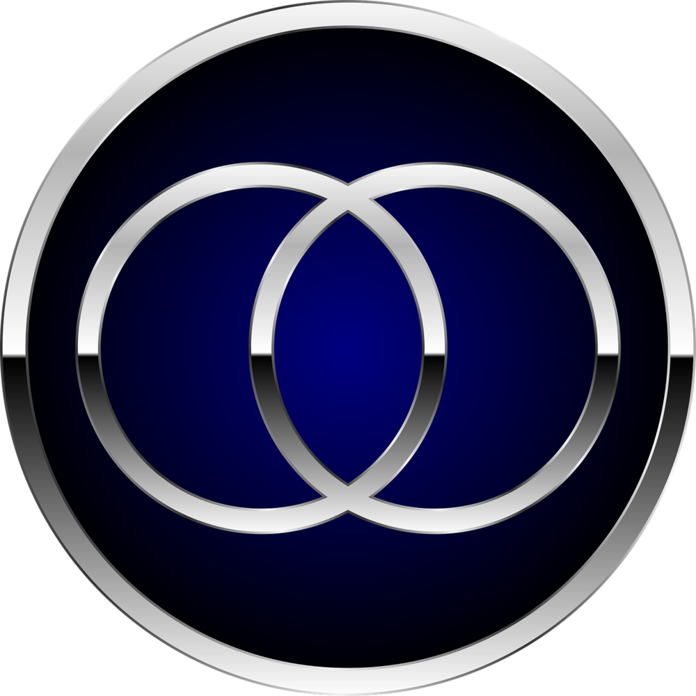 Download The Vesica Piscis - Portrait Of A Man - Full Size PNG Image ...