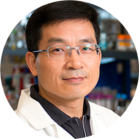 Download Shawn Li - Senior Citizen - Full Size PNG Image - PNGkit