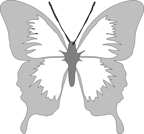 Download Butterfly In Silver - Butterfly Drawing Clipart - Full Size ...