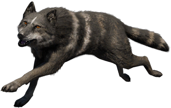Download Mad Devil - Far Cry Wolf Png - Full Size PNG Image - PNGkit