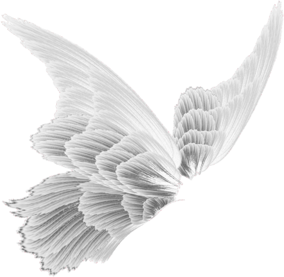 Download Fairy Wings Magic Stickers Transparent Aesthetic Cute - Fairy ...