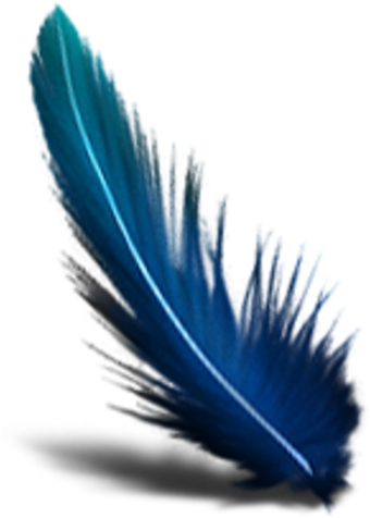 Download Transparent Blue Feather Transparent Background - PNGkit