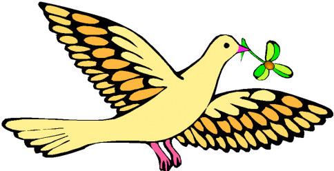 Download Confirmation Catechism - Full Size PNG Image - PNGkit