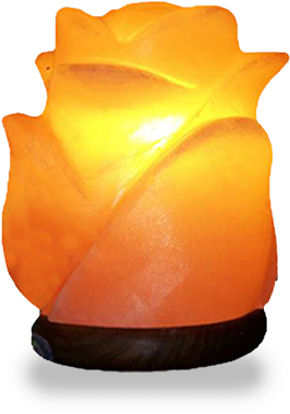 Download Flower-shape - Himalayan Salt - Full Size PNG Image - PNGkit