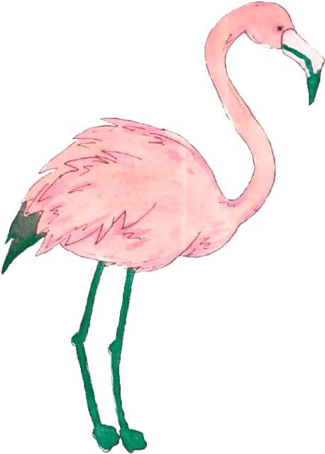 Download Flamingo Png Tumblr - Flamingo Sticker Tumblr Png - Full Size ...