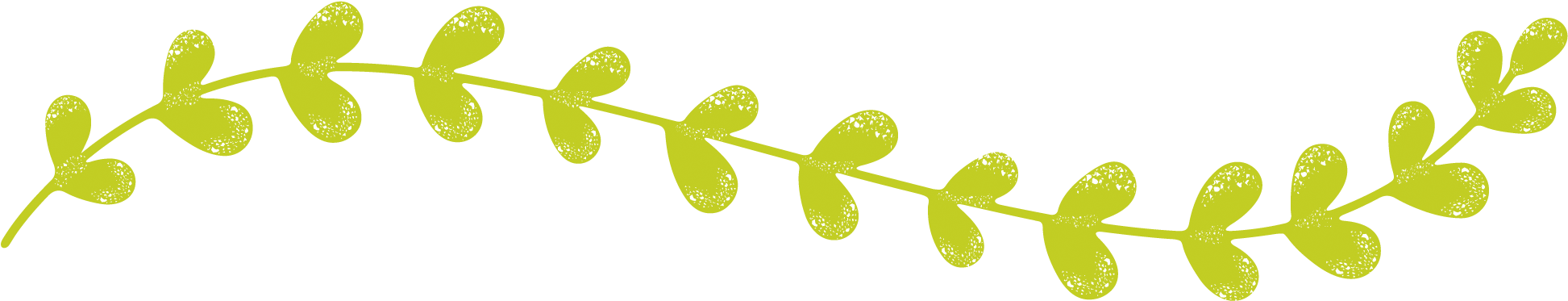 Download Green Underline Sprig - Leaf Underline Png - Full Size PNG ...