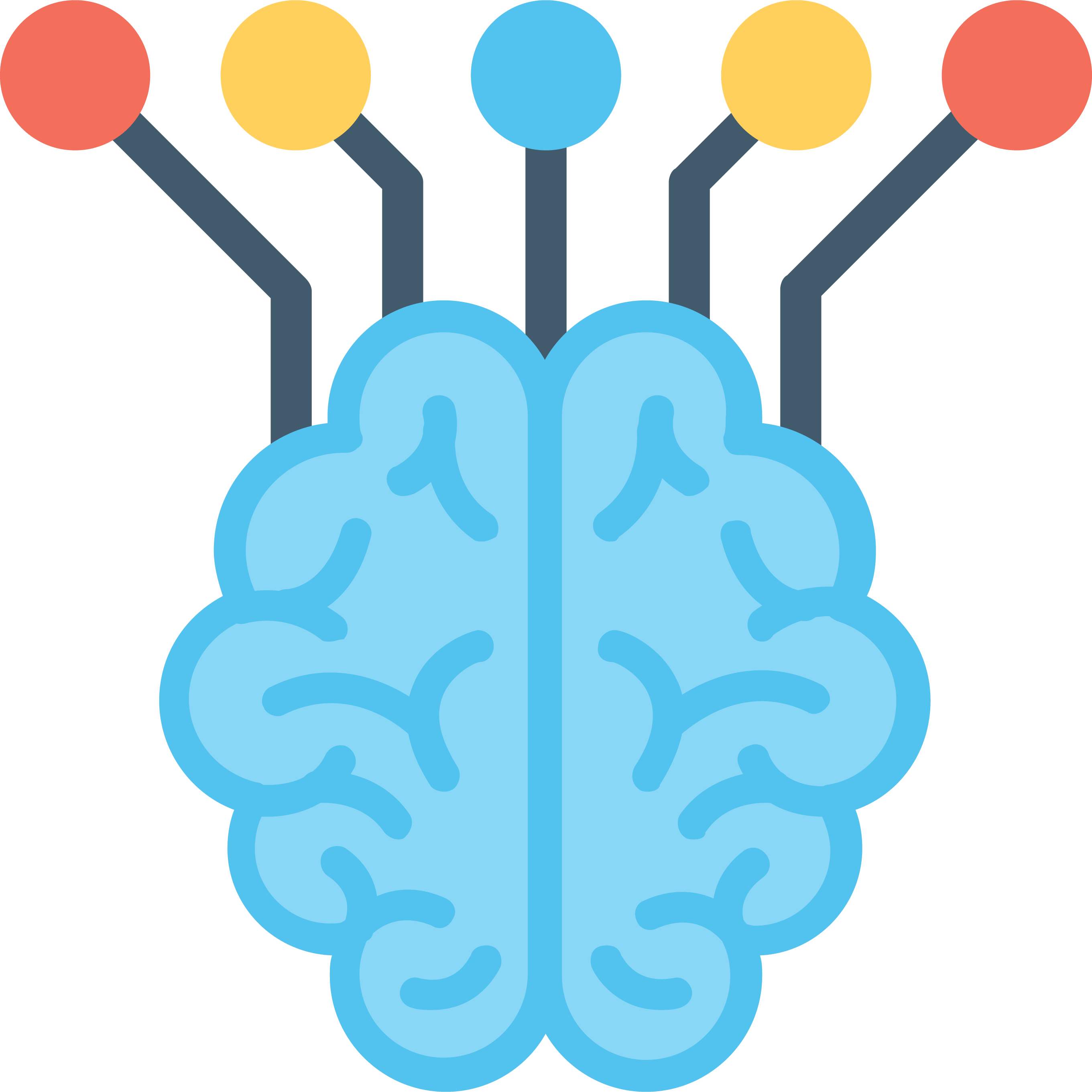 Download My Responsibilities - Icon - Full Size PNG Image - PNGkit