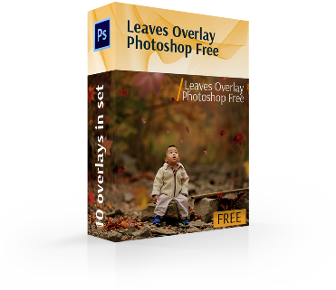 Download Leaves Overlay Photoshop Free Cover Box - Herbst-farben ...
