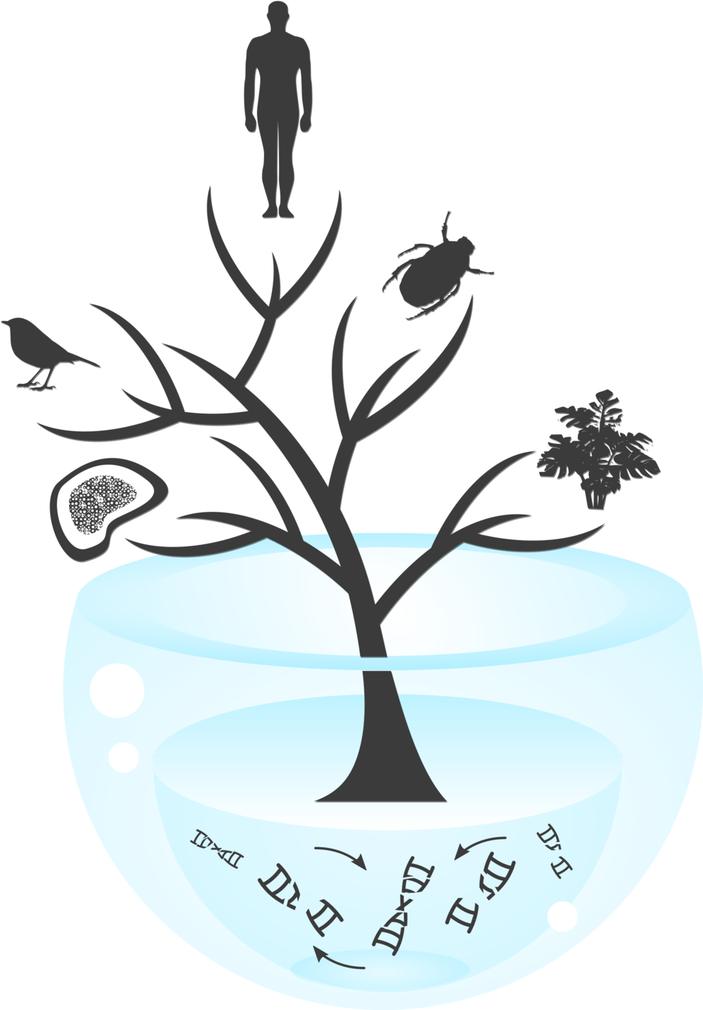 Download At The Root Of The Tree Of Life - Horizontal Picture Of Origin ...