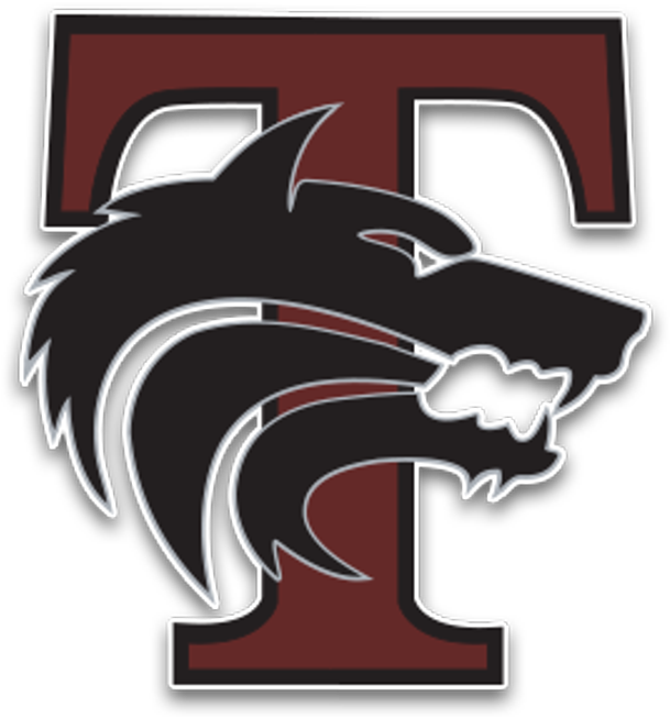 Download 2017 Orange Champions - Mansfield Timberview High School Logo ...