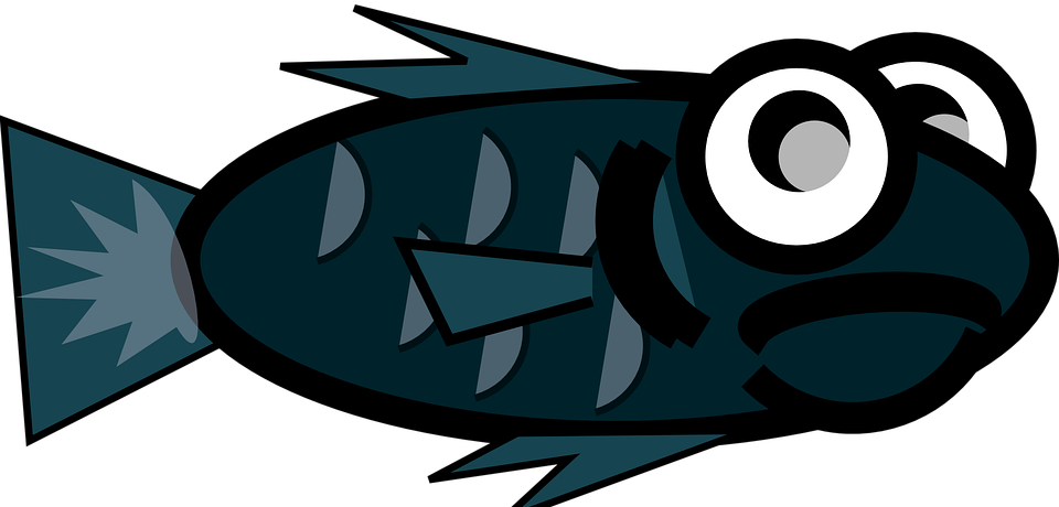 Download Fish, Scales, Swim - Fish - Full Size PNG Image - PNGkit